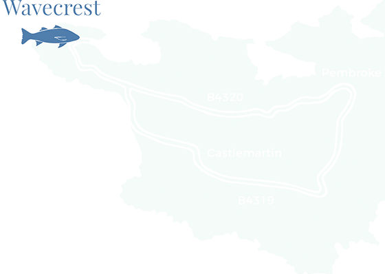 Wavecrest - Café on the Pembrokeshire CoastHome